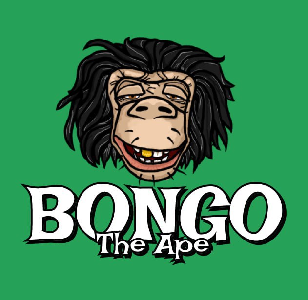 BONGO | Verified by Assure DeFi®